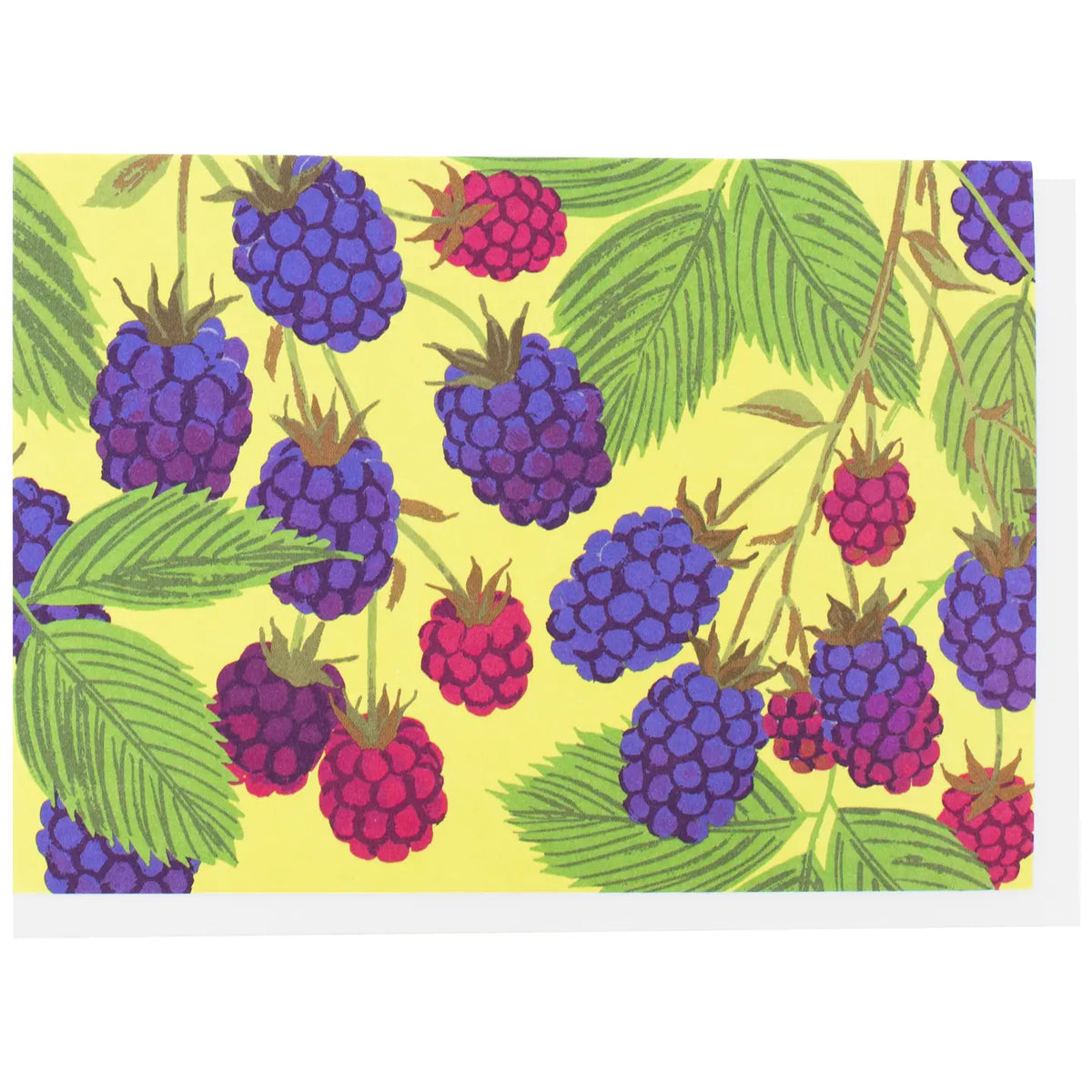 Smudge Ink Boxed Notes - Blackberries – Duly Noted Stationery
