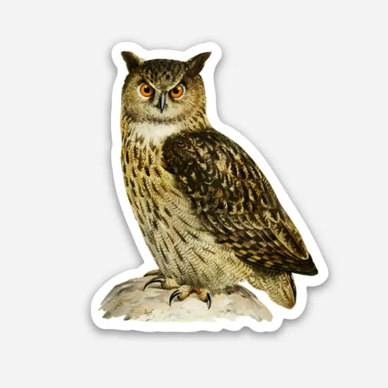 Gap Filler Sticker - Disgusted Owl – Duly Noted Stationery