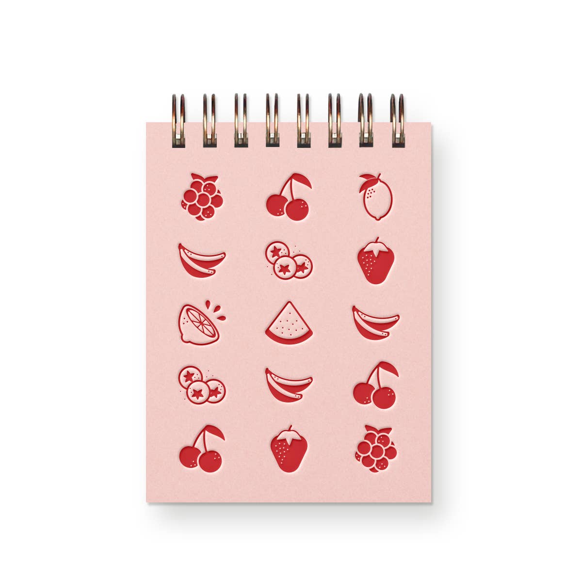 Mini Jotter Notebook - Fruit Grid – Duly Noted Stationery