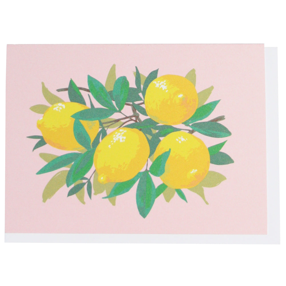Smudge Ink Boxed Notes - Lemons – Duly Noted Stationery
