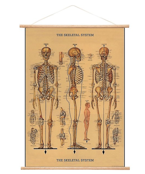 Cavallini & Co. Vintage Poster Kit - Vertical – Duly Noted Stationery